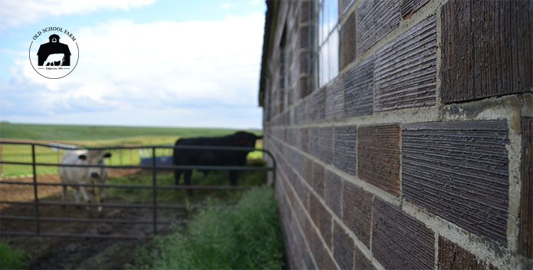 Why Grass-Fed? | Old School Farm